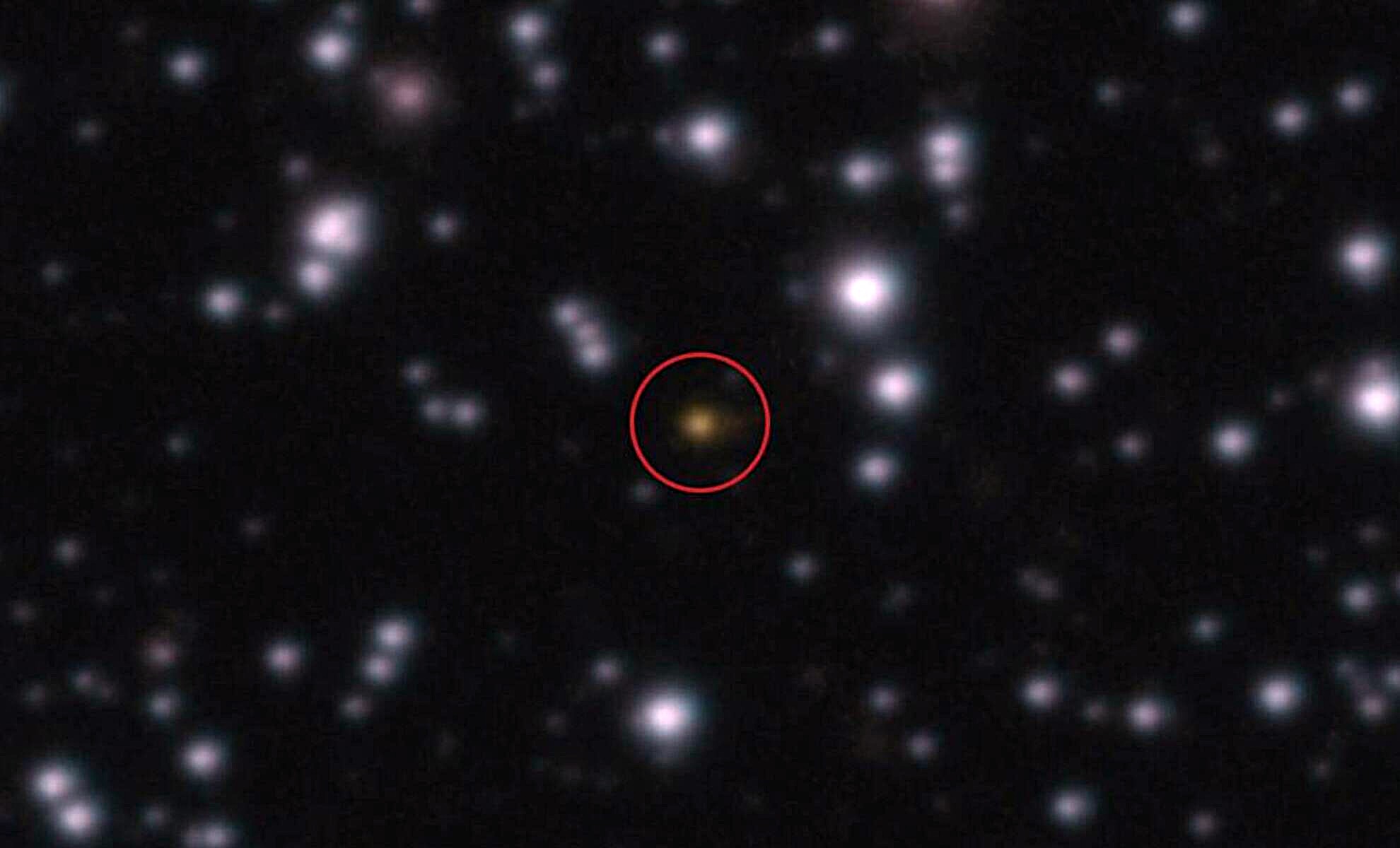 Gay french porn twitter she wore panties as requested and I